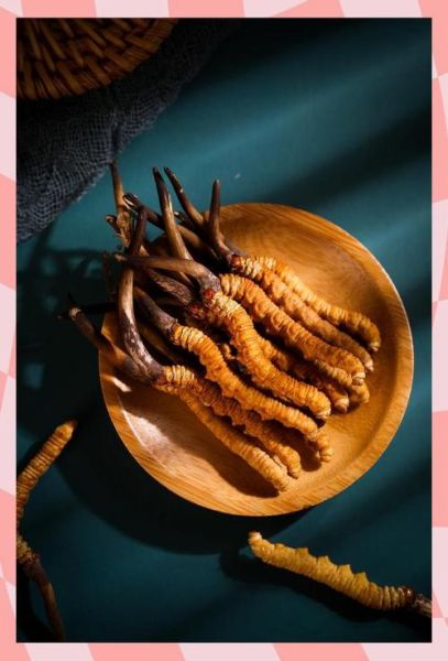 虫草怎么泡水喝_虫草泡水一次放几根-第3张图片-山城妙识 虫草怎么泡水喝_虫草泡水一次放几根-第3张图片-山城妙识