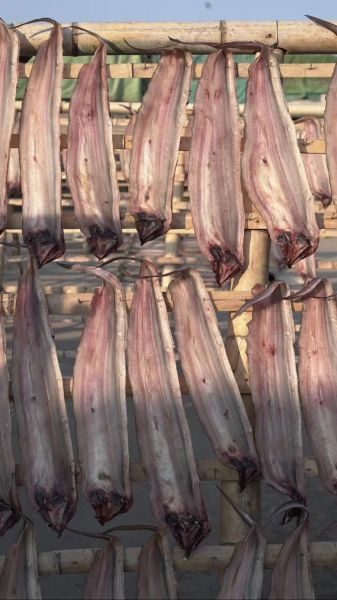 鲞鱼干怎么晒_鲞鱼干的家常做法-第2张图片-山城妙识 鲞鱼干怎么晒_鲞鱼干的家常做法-第2张图片-山城妙识