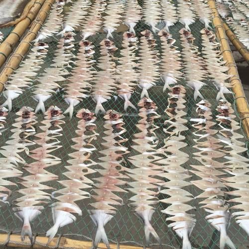 鲞鱼干怎么晒_鲞鱼干的家常做法-第1张图片-山城妙识 鲞鱼干怎么晒_鲞鱼干的家常做法-第1张图片-山城妙识