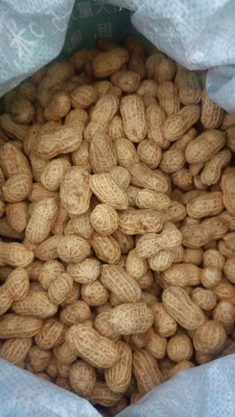 花生米今日价格多少钱一斤_花生米最新行情还会涨吗-第1张图片-山城妙识