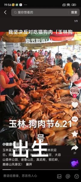 玉林狗肉节什么时候_玉林狗肉节争议焦点-第1张图片-山城妙识