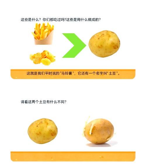 土豆和马铃薯的区别_哪个更常见-第3张图片-山城妙识