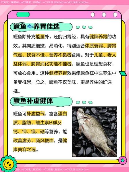 桂鱼的营养价值_桂鱼的功效与作用-第1张图片-山城妙识