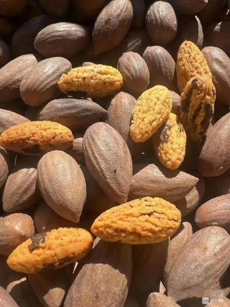 香榧子多少钱一斤_香榧子价格影响因素-第3张图片-山城妙识