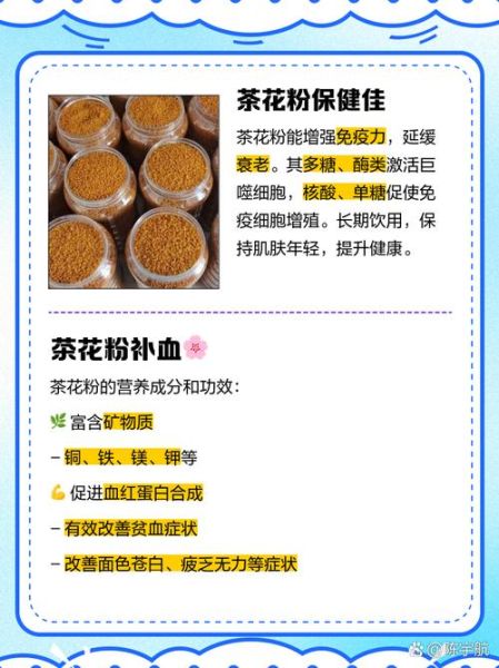 茶花粉可以天天喝吗_长期饮用的副作用-第1张图片-山城妙识