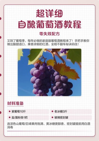 自酿葡萄酒怎么做_自酿葡萄酒图片教程-第3张图片-山城妙识