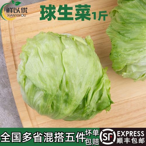 圆生菜和包菜的区别_哪个更适合减肥-第3张图片-山城妙识