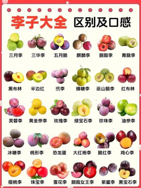 常见水果有哪些_100种水果名字大全-第3张图片-山城妙识 常见水果有哪些_100种水果名字大全-第3张图片-山城妙识