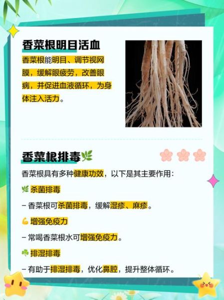 香菜根对男人的危害_男人吃香菜根会阳痿吗-第1张图片-山城妙识 香菜根对男人的危害_男人吃香菜根会阳痿吗-第1张图片-山城妙识