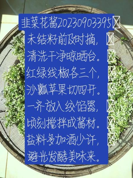 韭菜花结籽了还能做酱吗_韭菜花籽期制酱方法-第3张图片-山城妙识