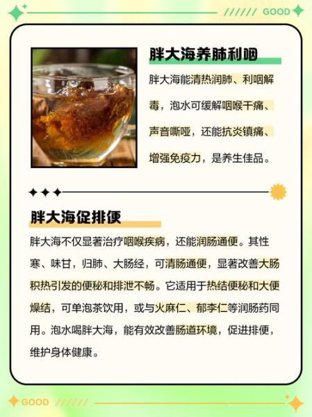 胖大海可以长期喝吗_胖大海长期喝的副作用-第1张图片-山城妙识