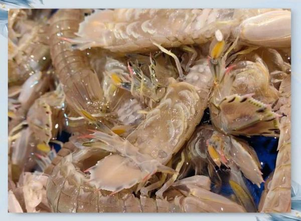 皮皮虾怎么去虾线_图解步骤-第3张图片-山城妙识 皮皮虾怎么去虾线_图解步骤-第3张图片-山城妙识