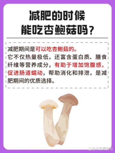 鲍鱼菇的功效与禁忌_哪些人不能吃-第1张图片-山城妙识