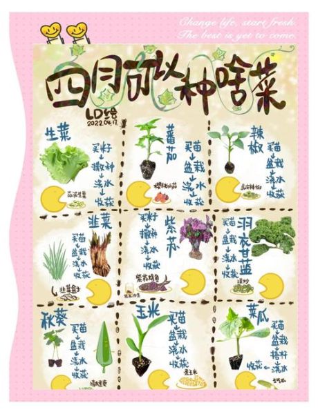 一年四季可以种什么蔬菜_适合阳台的四季蔬菜-第1张图片-山城妙识