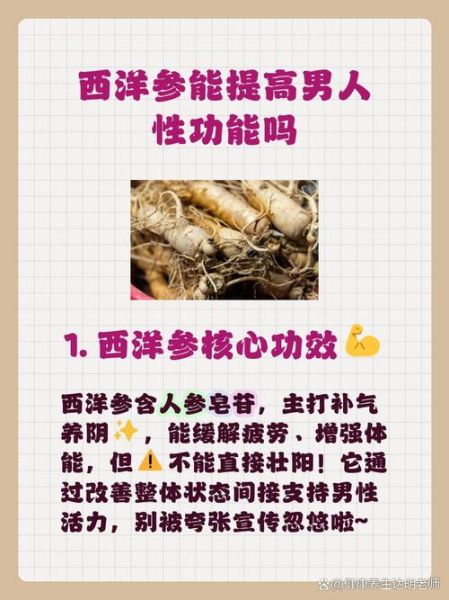 西洋参壮阳吗_西洋参能提高性功能吗-第2张图片-山城妙识
