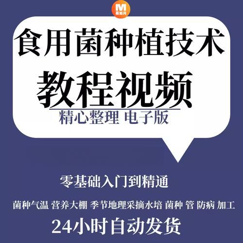 香菇种植技术_香菇怎么种植-第3张图片-山城妙识