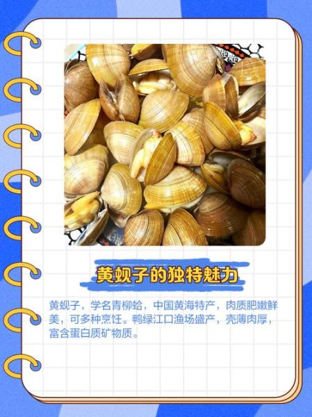 黄蚬子怎么读_黄蚬子产地哪里最出名-第1张图片-山城妙识