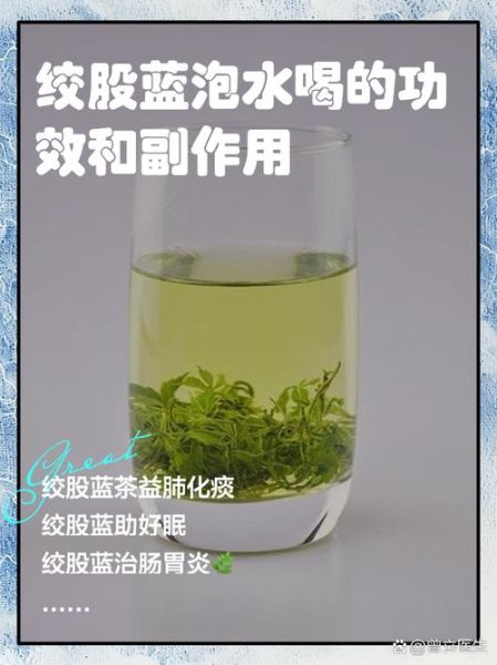 绞股蓝的功效与作用有哪些_绞股蓝适合什么人喝-第3张图片-山城妙识