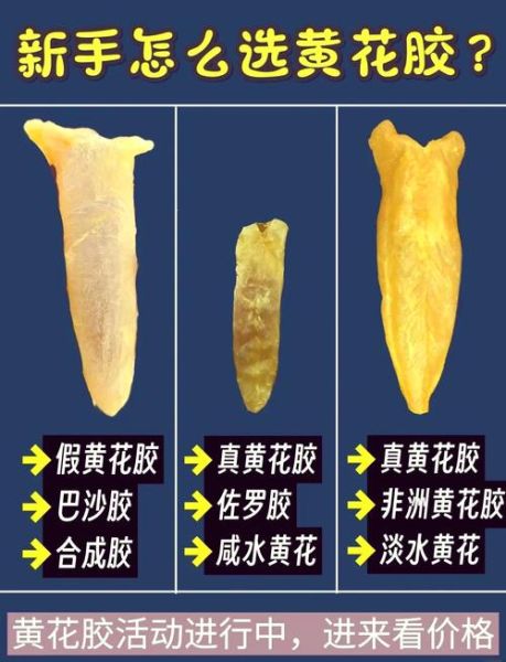 黄花鱼胶的功效与作用_适合什么人吃-第2张图片-山城妙识
