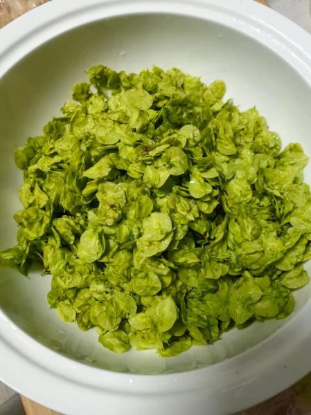 榆钱儿饭怎么做_榆钱儿饭的营养价值-第1张图片-山城妙识