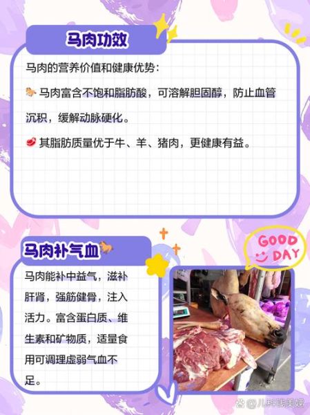 马肉哪些人不能吃_马肉禁忌人群有哪些-第2张图片-山城妙识