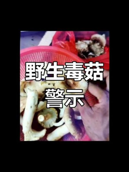 有毒吗_吃了会不会中毒-第1张图片-山城妙识