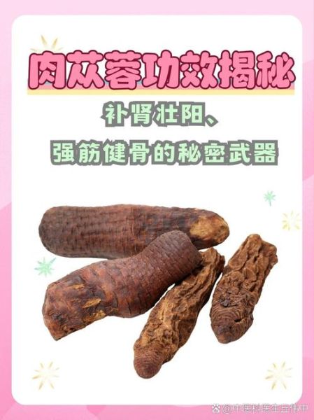 肉苁蓉图片长什么样_肉苁蓉的功效与作用有哪些-第1张图片-山城妙识