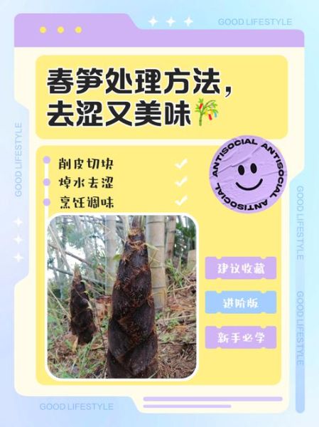 鲜笋怎么处理不涩_鲜笋去涩最快的方法-第3张图片-山城妙识