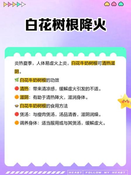 牛奶树根煲汤做法_牛奶树根煲汤功效-第1张图片-山城妙识