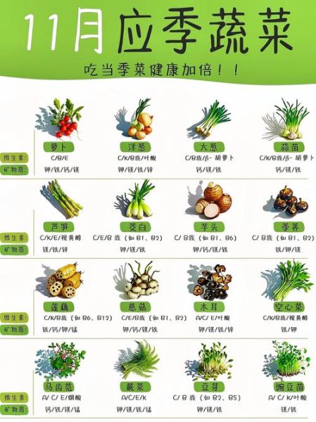 秋季适合吃什么菜_秋季养生吃什么蔬菜好-第1张图片-山城妙识 秋季适合吃什么菜_秋季养生吃什么蔬菜好-第1张图片-山城妙识