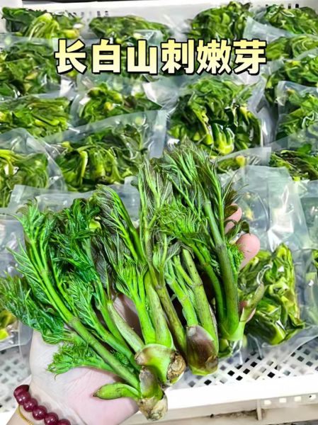 东北野菜有哪些_东北野菜图片及名称大全-第1张图片-山城妙识