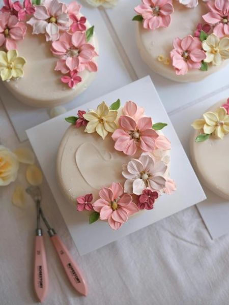 花样蛋糕的100种做法_新手也能一次成功-第1张图片-山城妙识 花样蛋糕的100种做法_新手也能一次成功-第1张图片-山城妙识