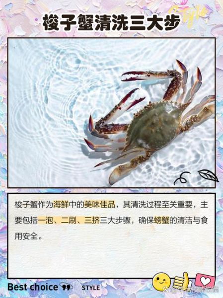 梭子蟹怎么清洗图解_梭子蟹清洗步骤图解-第1张图片-山城妙识