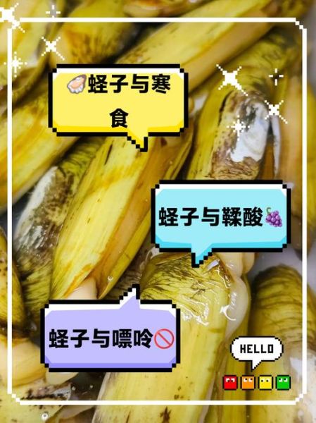 蛏子营养价值高吗_蛏子不能和什么一起吃-第1张图片-山城妙识