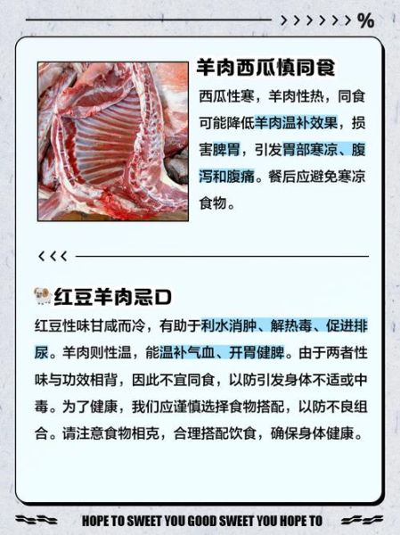 羊肉不能和什么一起吃_十大禁忌-第3张图片-山城妙识