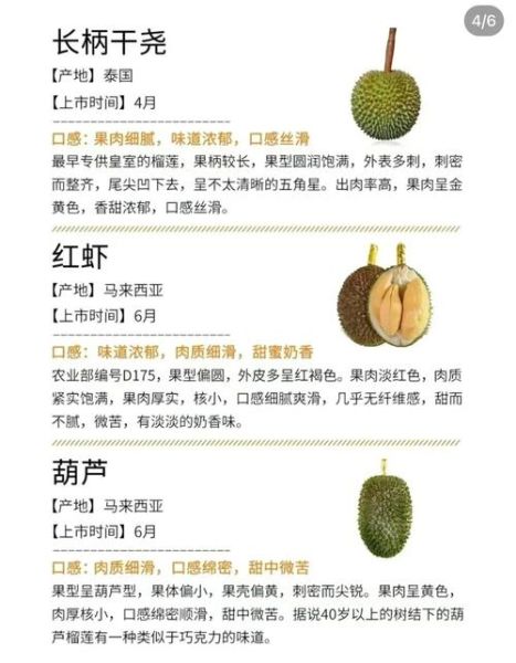 榴莲品种有哪些_泰国金枕和猫山王区别-第3张图片-山城妙识