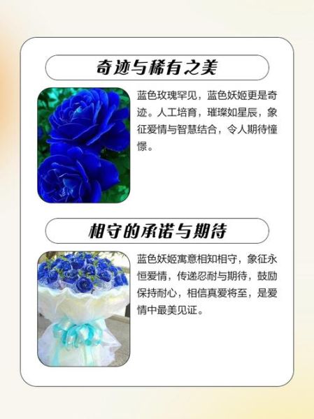 为什么不能轻易送蓝色妖姬_蓝色妖姬花语禁忌-第1张图片-山城妙识 为什么不能轻易送蓝色妖姬_蓝色妖姬花语禁忌-第1张图片-山城妙识