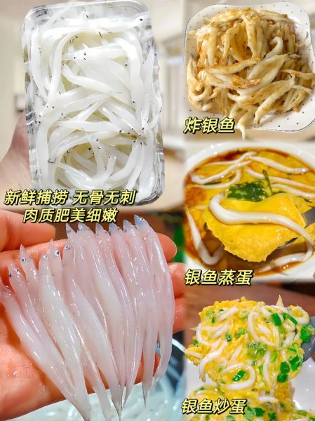 淡水银鱼怎么做好吃_淡水银鱼的家常做法-第1张图片-山城妙识 淡水银鱼怎么做好吃_淡水银鱼的家常做法-第1张图片-山城妙识