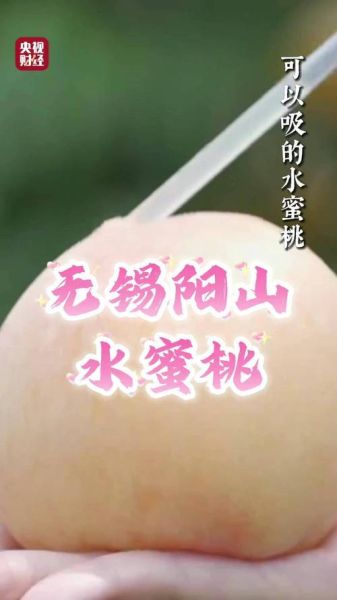 无锡阳山水蜜桃多少钱一斤_正宗阳山水蜜桃价格表-第2张图片-山城妙识