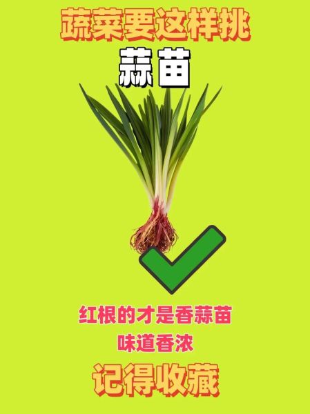 葱和蒜苗的区别_怎么区分葱和蒜苗-第3张图片-山城妙识
