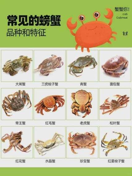 青蟹是河蟹还是海蟹_青蟹和梭子蟹区别-第1张图片-山城妙识 青蟹是河蟹还是海蟹_青蟹和梭子蟹区别-第1张图片-山城妙识