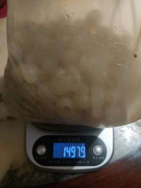 龙眼肉怎么晒_龙眼肉晒干需要几天-第2张图片-山城妙识 龙眼肉怎么晒_龙眼肉晒干需要几天-第2张图片-山城妙识