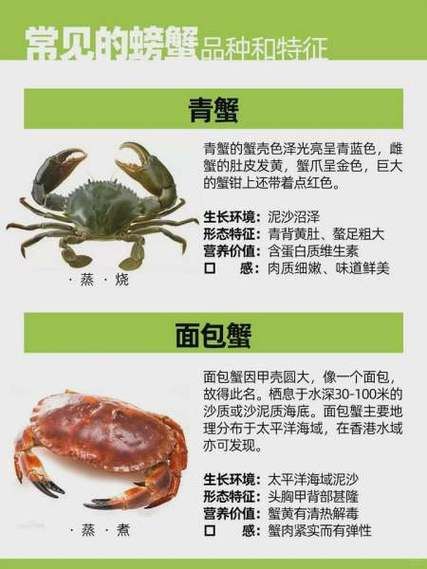 青蟹是河蟹还是海蟹_青蟹和梭子蟹区别-第2张图片-山城妙识 青蟹是河蟹还是海蟹_青蟹和梭子蟹区别-第2张图片-山城妙识