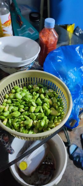 绿色食品标准有哪些_如何辨别绿色食品真假-第1张图片-山城妙识 绿色食品标准有哪些_如何辨别绿色食品真假-第1张图片-山城妙识