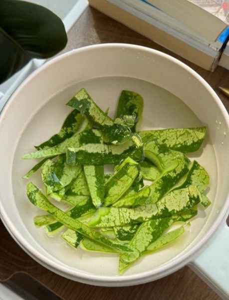 西瓜皮晒干怎么腌制_西瓜皮晒干腌制方法-第1张图片-山城妙识 西瓜皮晒干怎么腌制_西瓜皮晒干腌制方法-第1张图片-山城妙识