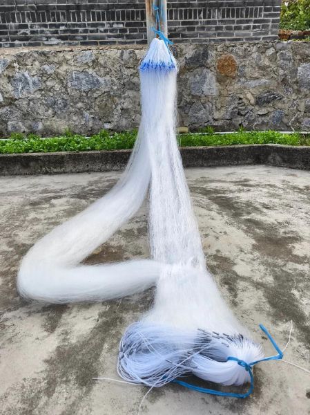 乌鱼网是什么_乌鱼网怎么赚钱-第1张图片-山城妙识 乌鱼网是什么_乌鱼网怎么赚钱-第1张图片-山城妙识