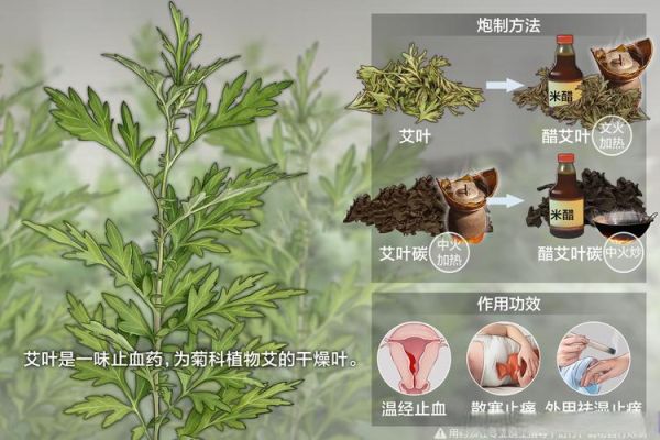 艾蒿过敏怎么办_艾蒿过敏吃什么药-第1张图片-山城妙识