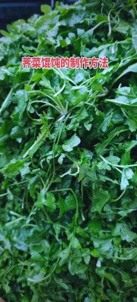 荠菜包饺子要焯水吗_荠菜饺子焯水好处-第1张图片-山城妙识 荠菜包饺子要焯水吗_荠菜饺子焯水好处-第1张图片-山城妙识