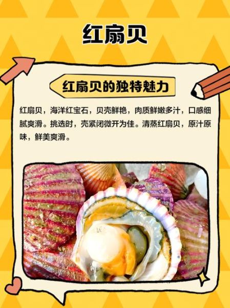 红贝怎么做好吃_红贝的营养价值有哪些-第1张图片-山城妙识 红贝怎么做好吃_红贝的营养价值有哪些-第1张图片-山城妙识