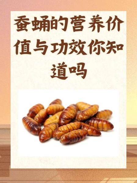 蝉蛹的营养价值_蝉蛹怎么吃最健康-第1张图片-山城妙识
